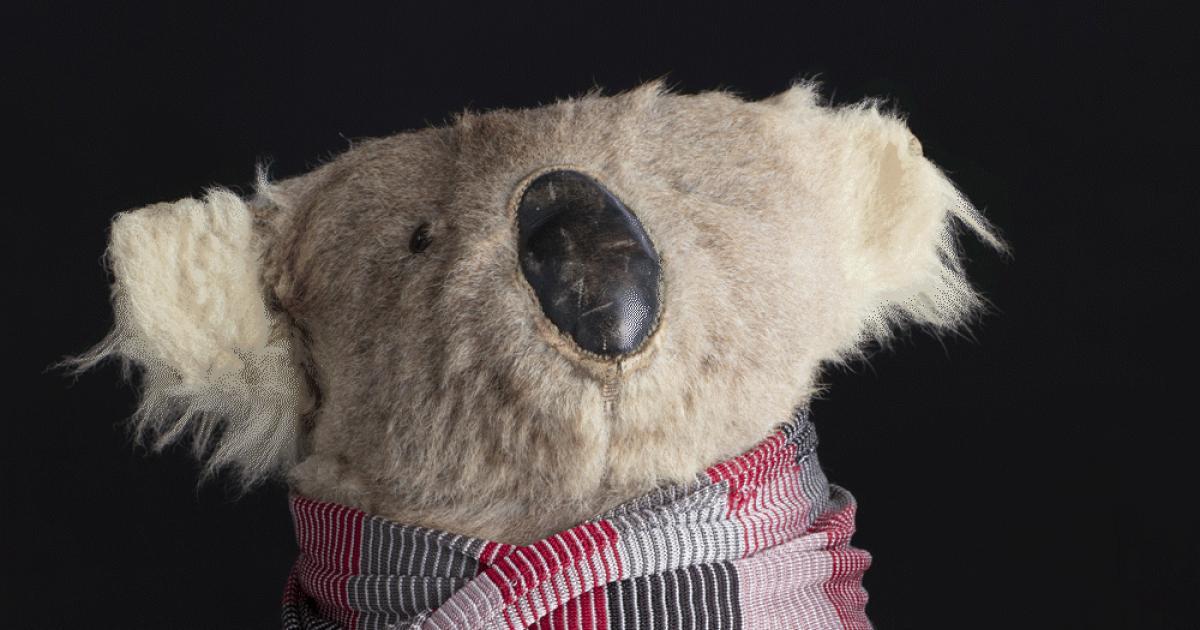 Meet Keiffee the post-war koala toy | State Library of South Australia