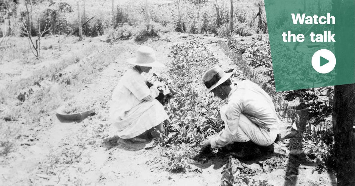 Sowing, Mowing and Growing | State Library of South Australia